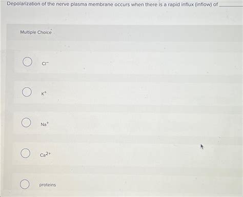 Solved Depolarization Of The Nerve Plasma Membrane Occurs