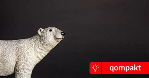 Mdsap Nc Grading Better Look Twice 05202025 Qtec Academy