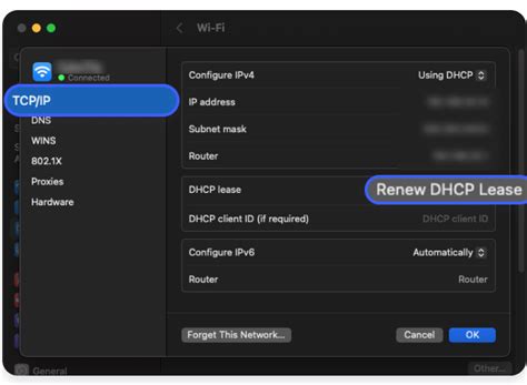 optimize your network a guide to renewing dhcp on macos ⇢