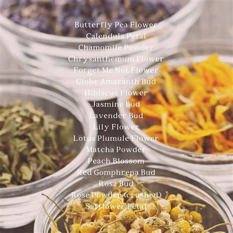 Globe Amaranth Seeds Etsy