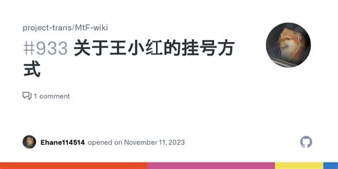 关于王小红的挂号方式 Issue project trans MtF wiki GitHub