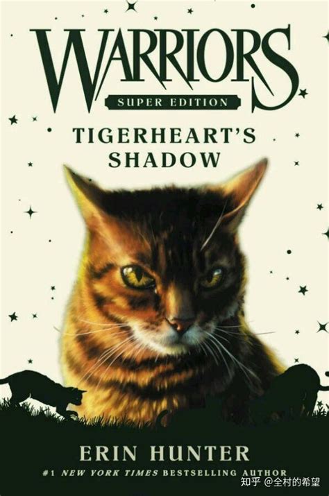 猫武士火星沙风 火星的探索 猫武士火星 第2页 大山谷图库