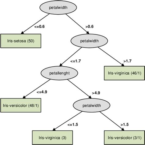 Decision Tree For Iris Dataset Download Scientific Diagram
