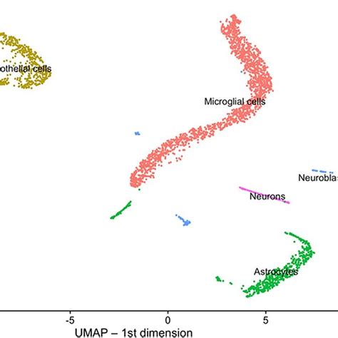 two dimensional cluster visualization of the single cell rna seq data download scientific