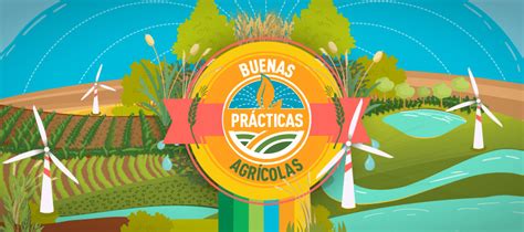 Panorama Rural Ahora ¿por Qué Buenas Prácticas Agrícolas