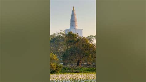 රුවන්වලි සෑය 🙏 ️🍃 Viralvideoシ Highlightsシ゚ Viraltiktok Viraltiktok