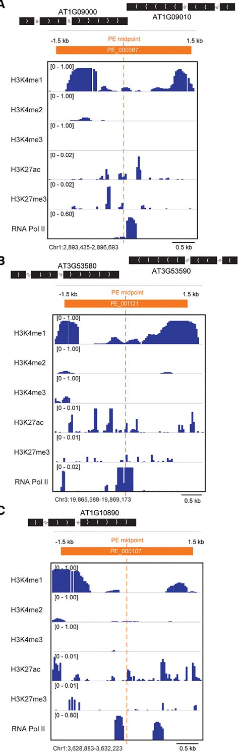 Integrative Genomics Viewer IGV Visualization Of Three PE Loci And