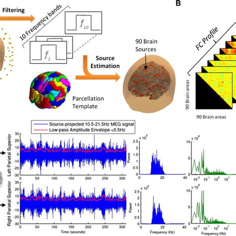 Meg Data Collection And Analysis A The Signals Detected At The Meg Download Scientific