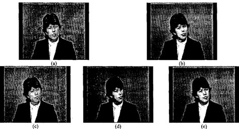 figure 3 from a new mesh based motion compensation algorithm for very low bit rate coding