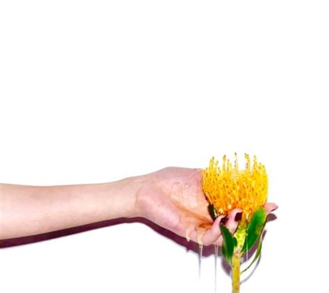 한국미래농업연구원 과수화상병 예방 및 스마트농업 교육 개최👏 안동스마트팜사업단은 🍎과수화상병 예방과 👨‍🌾📱스마트농업