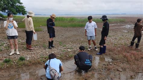 게눈 후기 자연과의 눈맞춤 인천녹색연합