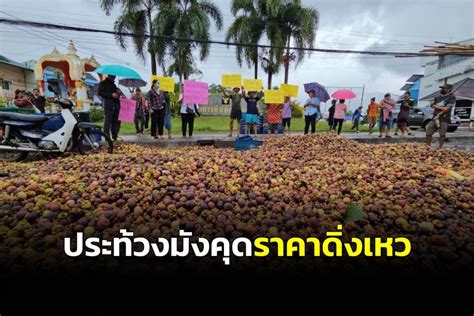 Photo Gallery สุดจะทน ชาวสวนขนมังคุดนับพันกิโลฯ เททิ้งหน้าป้ายอำเภอพรหมคีรี ประท้วงราคาดิ่งเหว