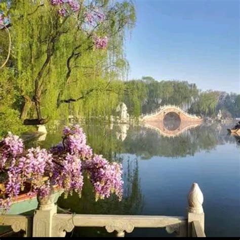 Excel表格密码忘记？解密技巧大解密！ 文件 官网 问题