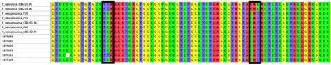 Sequence Alignments Of Its2 At Position No 40 42 Left Square And No