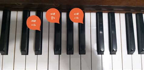 리코더 운지법 파샵 레샵 시b을 모른다고 네이버 블로그