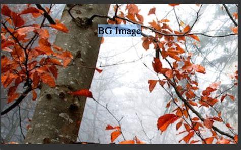 Explain All The Background Properties Dev Community