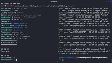 Akshay Katoch On Linkedin Venuslab Hackmyvm Cybersecurity Penetrationtesting Linux
