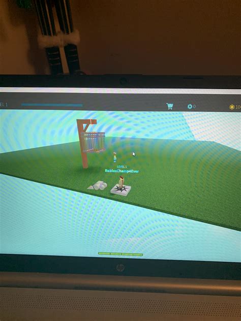 The Game Doesnt Work For Me I Click Play And It Sends Me To The Training Area This Is All I