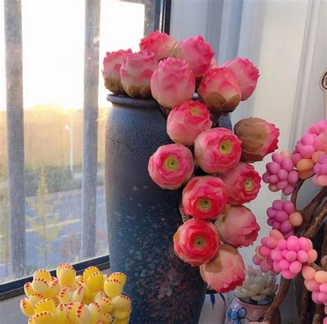 沭阳国际花木城 专业绿化苗木花卉盆景批发市场官网