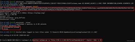 Sql注入【6】 Salmap工具使用aspx Sql注入语句 Csdn博客
