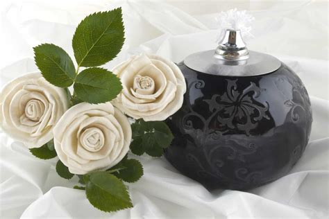 Embalming Fluid Dont Miss What It Is And What It Does 512 607