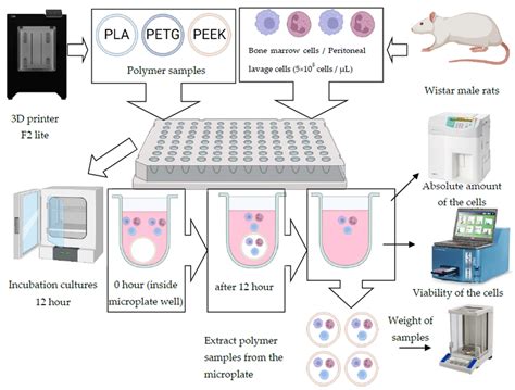 Experiment Methodology Illustration Download Scientific Diagram