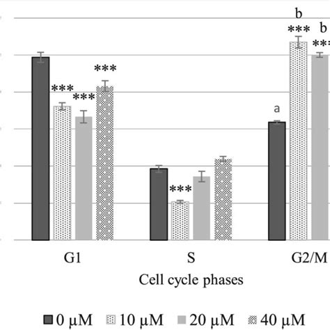 Cell Cycle Analysis Percentage Of Cells In Cell Cycle Phases After 24 Download Scientific