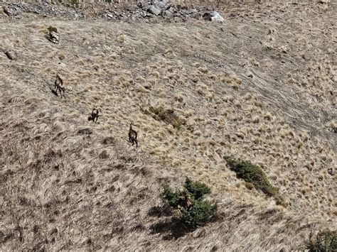 ფშავ ხევსურეთის ეროვნული პარკი Pshav Khevsureti National Park Added A ფშავ ხევსურეთის