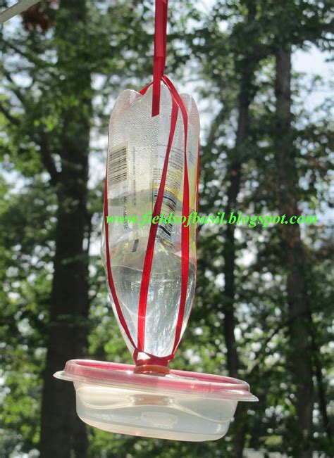 Fields Of Basil Make Your Own Hummingbird Feeder