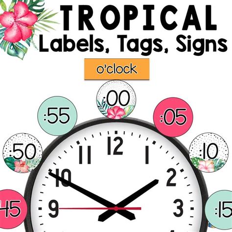 Printable Tropical Clock Label Numbers In 5 Minute Intervals Tropical Classroom Decor Clock