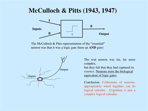 Ppt Connectionist Models The Briefest Course Powerpoint Presentation