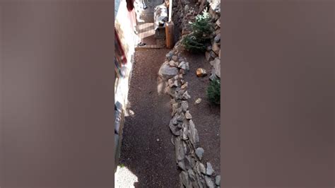 Chipmonks Youtube