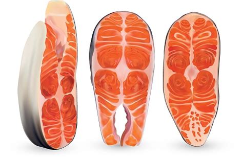 흰색 배경에 격리 된 필레 연어를 설정합니다 붉은 물고기의 3d 현실적인 조각 아름다운 스테이크 연어 신선한 연어를 가까이에