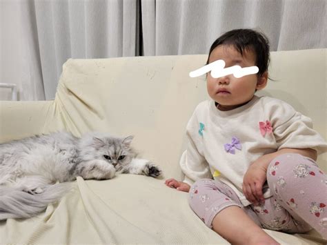 モフ猫と赤ちゃん、ソファーでまったり♪ │ モフ猫おもち、ときどき赤ちゃん