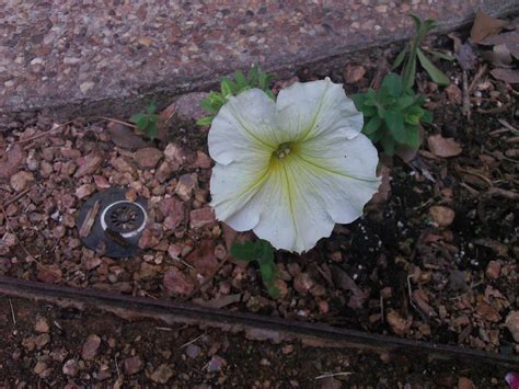 Toshiba Excite Review Don T Let The Name Fool You It S Just Another Tablet