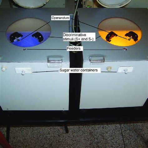 Setup Used In The Discriminative Training With Bees Two Experimental Download Scientific