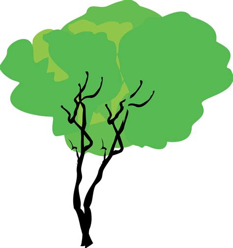 Tree Corel Graphic Free Image On Pixabay