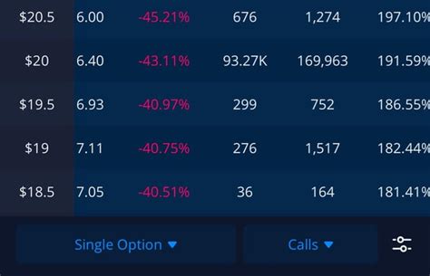 Kitty R Roaringkitty