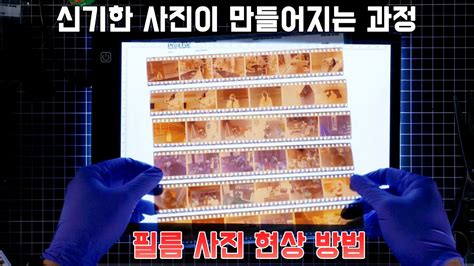 필름 사진이 만들어지는 신기한 과정 셀프 사진 현상 방법 Youtube