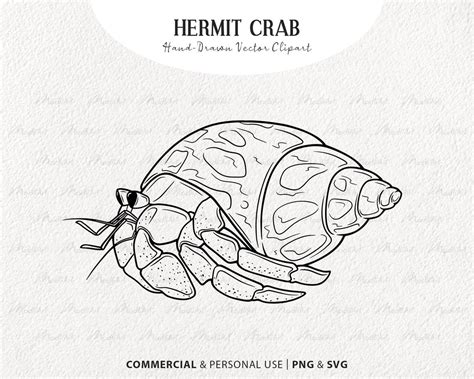 Hermit Crab Drawing Outline