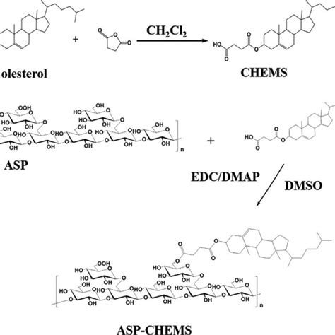 Synthesis Of Lbp Dox Nanoparticles [35] Copyright 2019 With Download Scientific Diagram