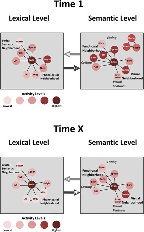 Auditory Verbal Stimulus Decoding At The Lexical Semantic Interface At