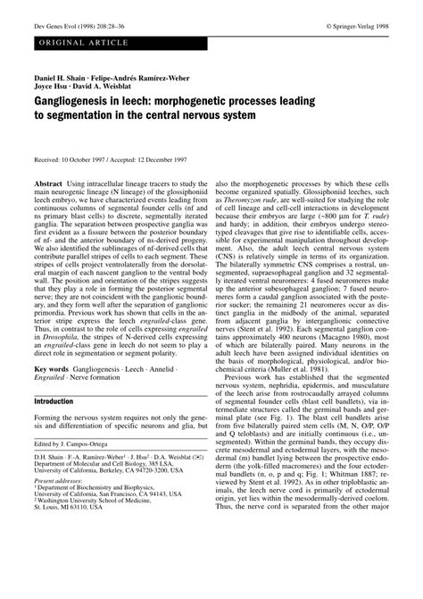 Pdf Gangliogenesis In Leech Morphogenetic Processes Leading To Segmentation In The Central
