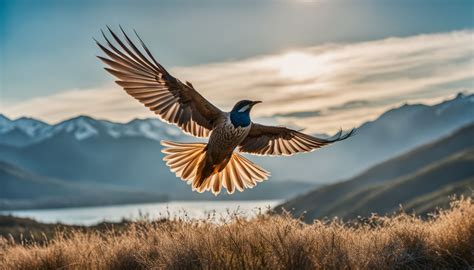 Exploring Bird Anatomy And Adaptations A Fascinating Insight Avian Adventures Birding Tips