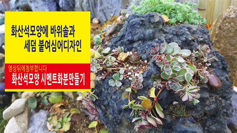 화산석모양에 바위솔 세덤심기와 화산석모양 시멘트화분만들기 Youtube