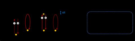 Figure B1 1 Implementation Of The Cnot Gate Using Rydberg Download Scientific Diagram