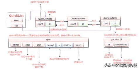 图解redis中的9种数据结构（高级面试，必备）redis高级数据结构 Csdn博客