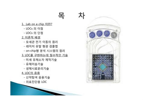 랩온어칩 Lab On A Chiploc에 대한 조사및 응용 자연공학
