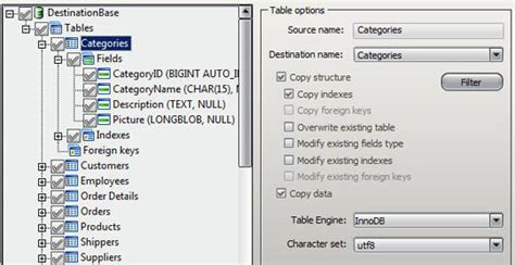 Table Options Dbconvert