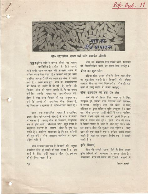 PDF Seed Production Of Paddy